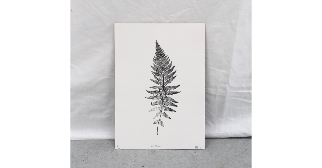 Alicia Breakspear - Krowji