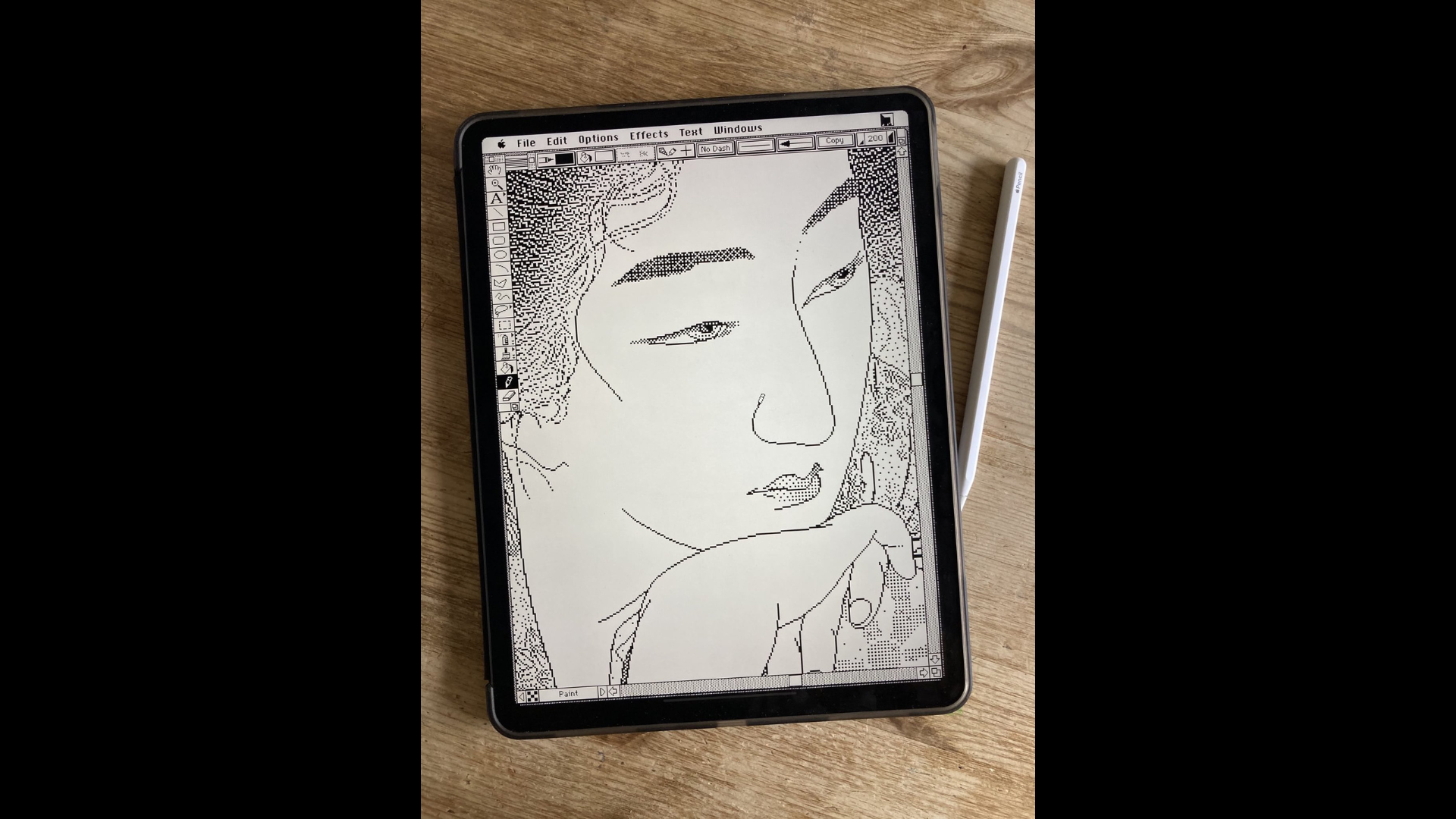 Matt Sephton - Krowji