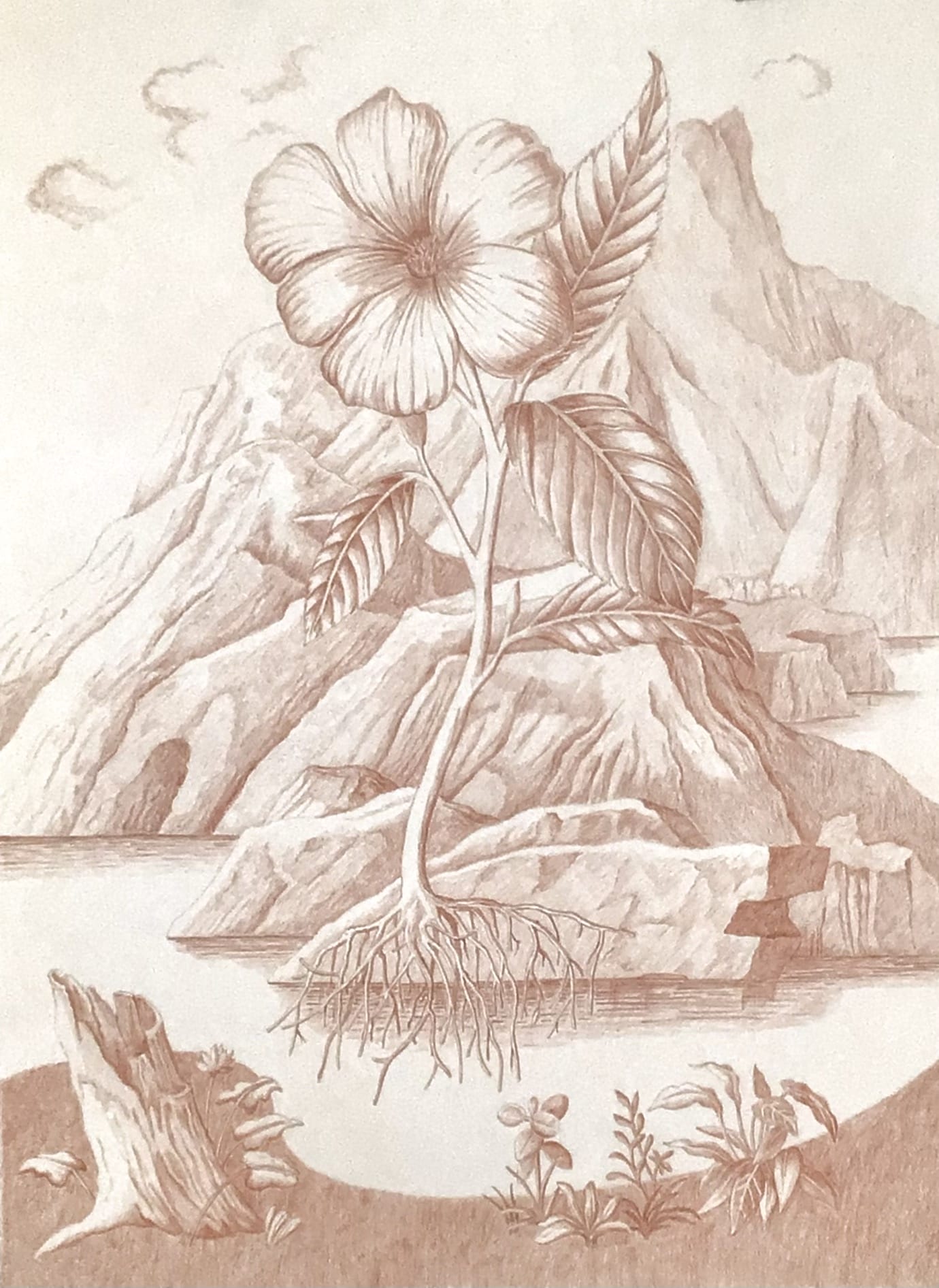 Roger Towndrow - Italian Study, Newlyn Art Gallery - Krowji